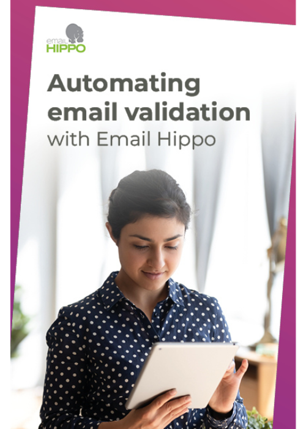 Find out how to automate email validation with Email Hippo